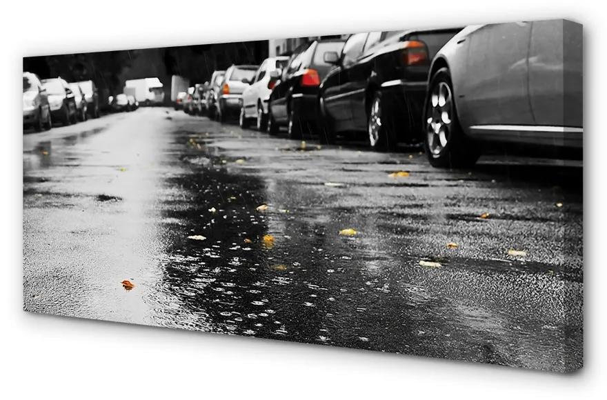 Obrazy na plátně Car podzimní listí silnice 120x60 cm