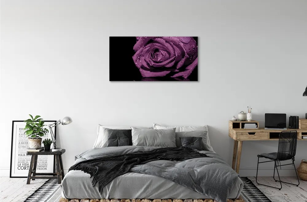 Obrazy na plátně Purpurová růže 140x70 cm