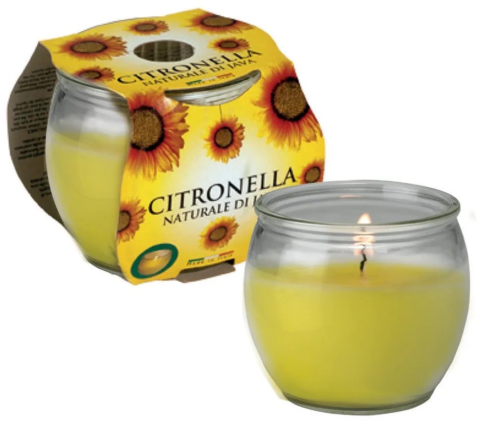 Citronella vonná svíčka ve skle Maiorca 6ks - hoření 25h