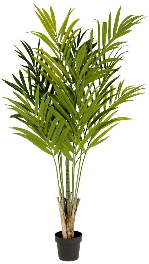 OnaDnes -20% Umělá květina Kave Home Bamboo Palmera 170 cm