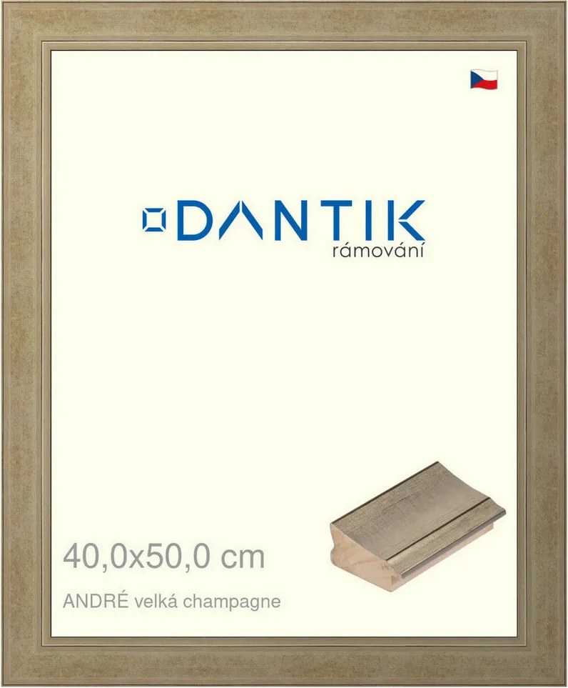 DANTIK rámeček 40x50 | ANDRÉ velká champagne (Sklo Čiré)