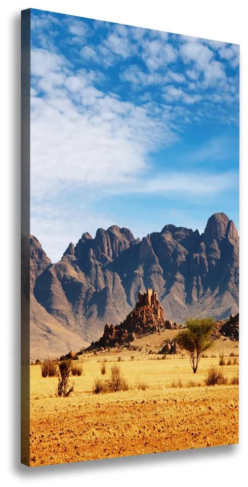 Wallmuralia Vertikální Foto obraz na plátně Namibská pošť 50x100
