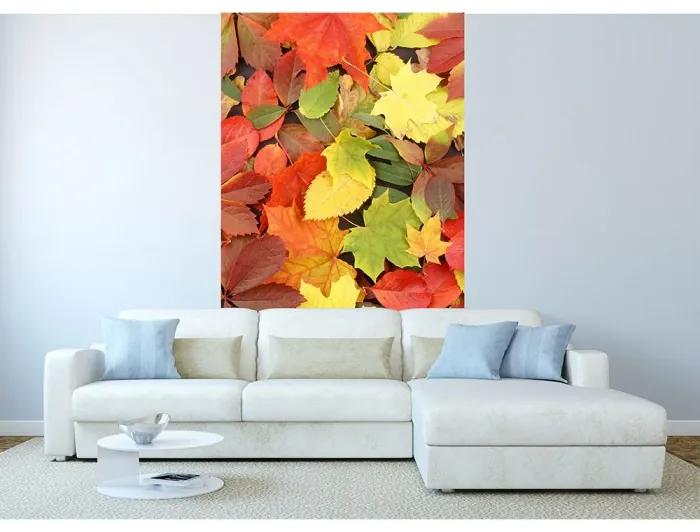 DIMEX | Vliesová fototapeta na zeď Pestrobarevné listí MS-2-0115  | 150 x 250 cm | červená, zelená, žlutá, hnědá