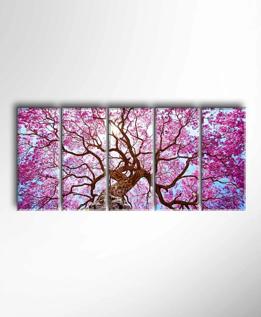 Malvis ® Obraz Rozkvetlý strom s růžovými květy ROZMĚR (šířka x výška): jednodílný obdélník 120x80 cm