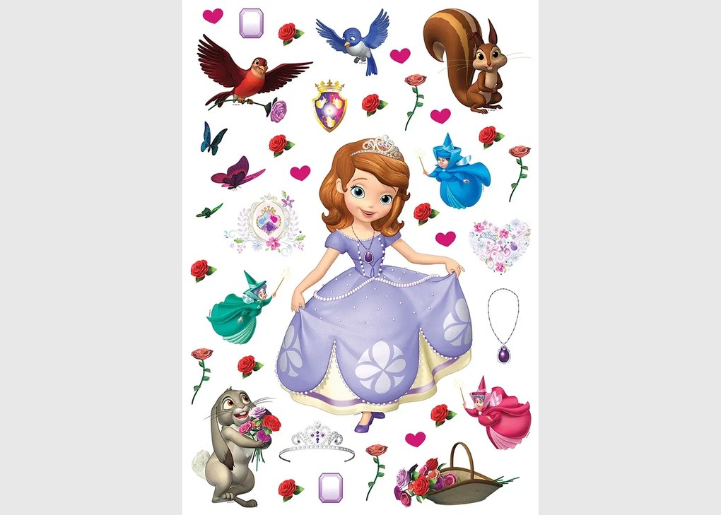 Dětská samolepka na zeď Sofie, Disney | 42.5 x 65 cm | DDK 1738