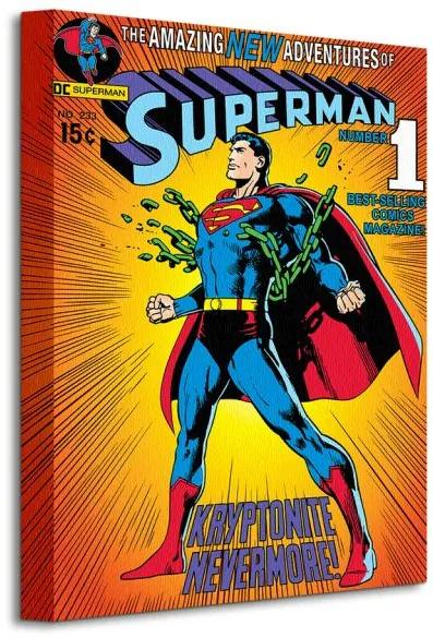 Obraz na plátně DC Comics Superman (Kryptonite) 30x40cm WDC92194