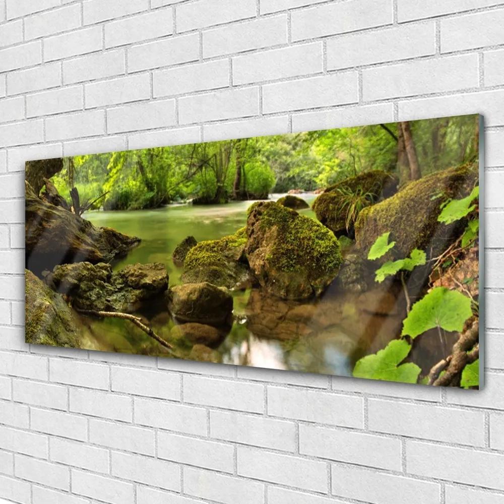 akrylový obraz Skála Jezero Příroda 125x50 cm