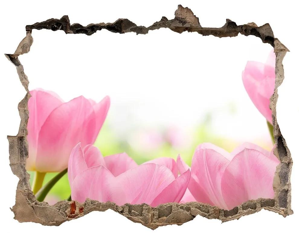 Wallmuralia Samolepící díra nálepka Růžové tulipány 95x64 cm