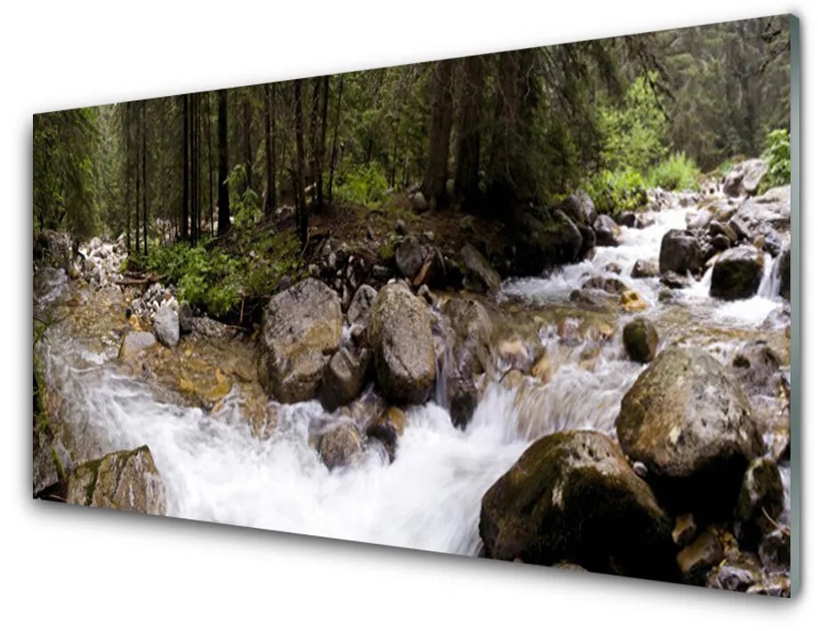 Plexisklo-obraz Les Řeka Vodopády 120x60 cm