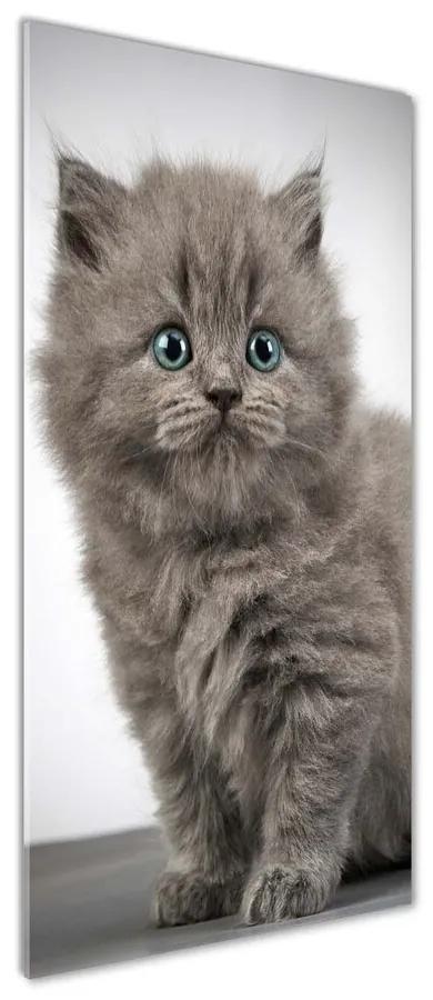 Wallmuralia Foto obraz akrylový Šedá a britská kočka 50x125 cm