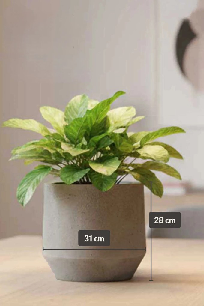 Designový květináč NEXORA, sklolaminát, 31x28 cm, šedý