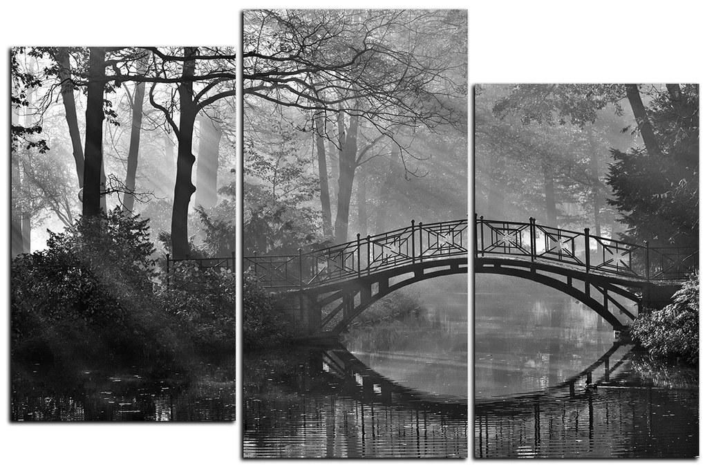 Obraz na plátně - Starý most  1139QD (90x60 cm)