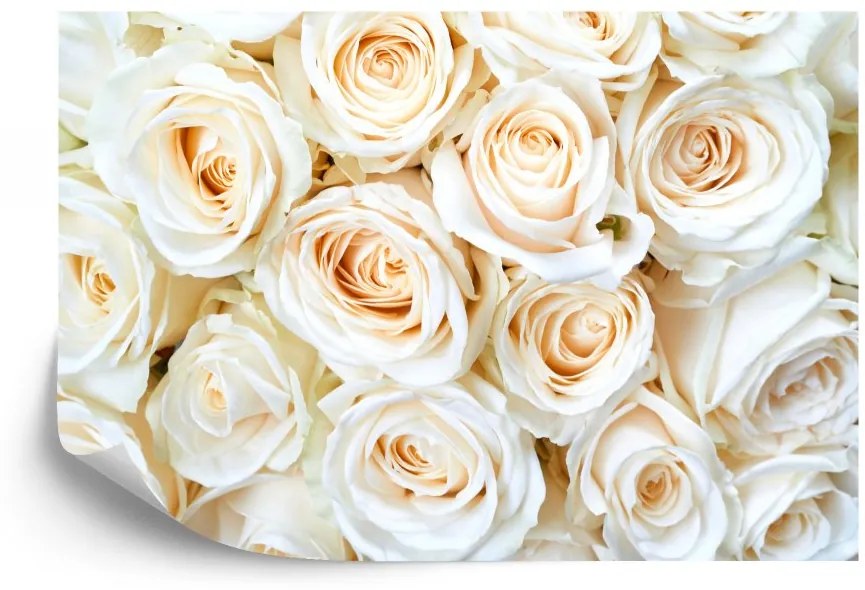 Fototapeta Krém Rose Bouquet Omyvatelný vlies 405x270