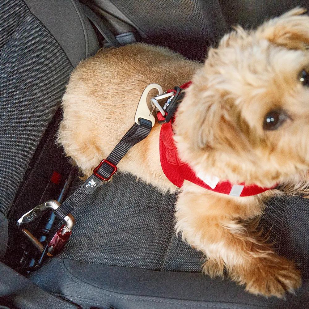 curli Cestovní pás pro psy do auta 30cm Velikost: 60cm