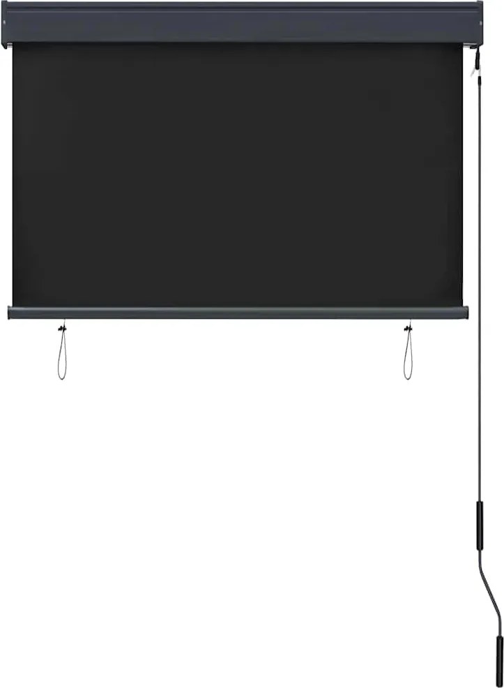 Venkovní roleta 100 x 250 cm antracitová 145958