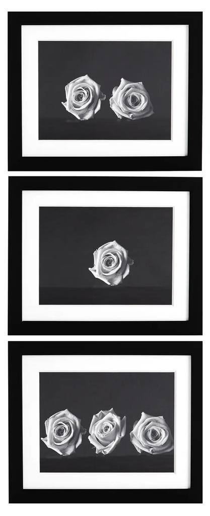 Kelly Hoppen Set tří obrázků Rose