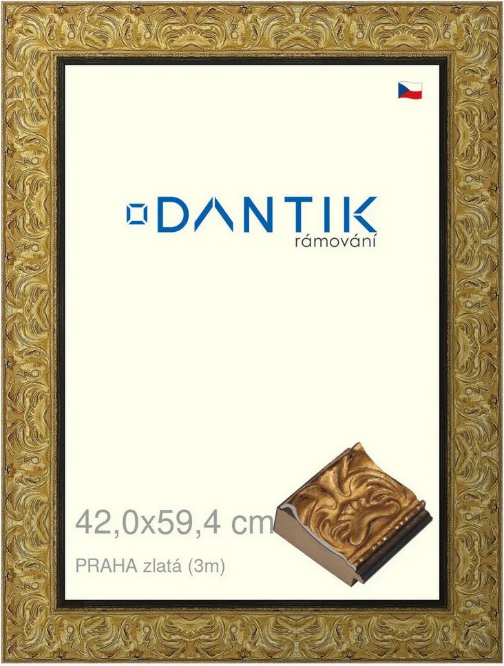 DANTIK rámeček 42x59,4 | PRAHA zlatá (Plexi Čiré)