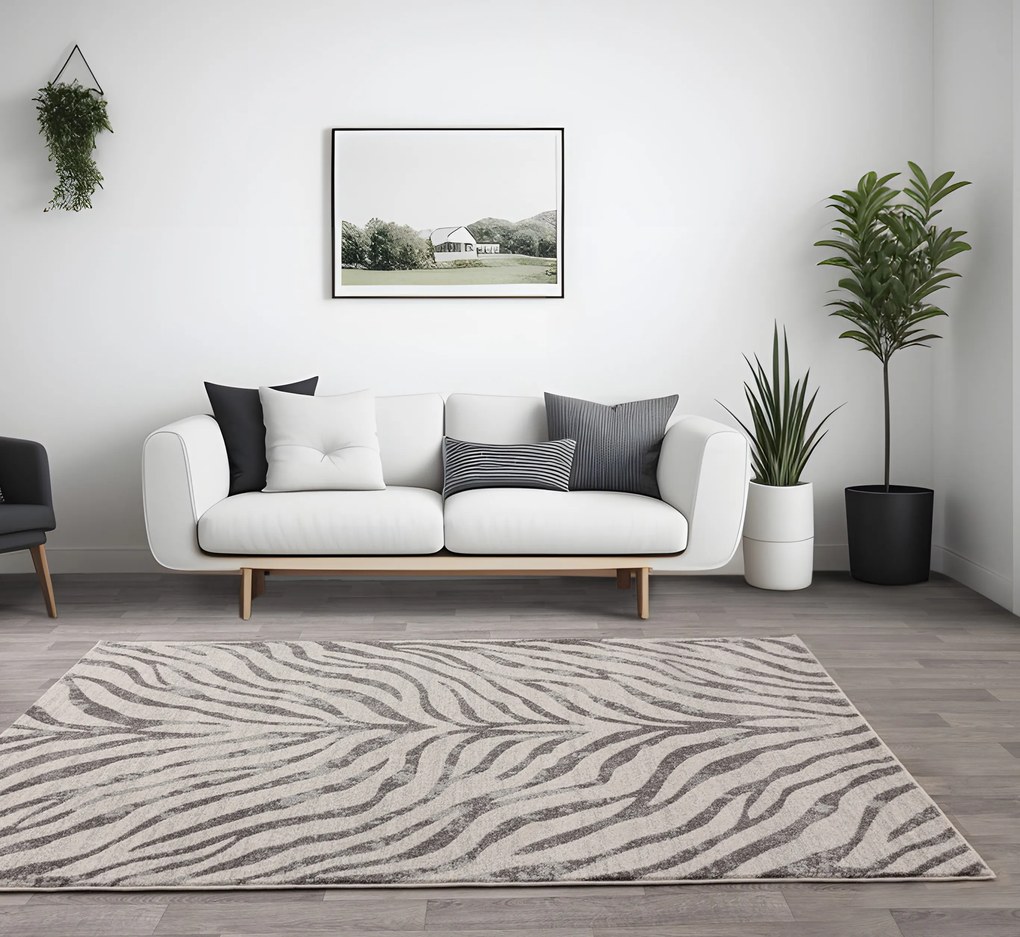 Šedý  koberec Dinamo Zebra Grey Rozměry: 160x230 cm
