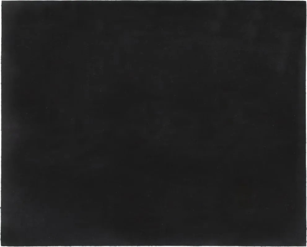 Rohožka před dveře tmavě šedá 80 x 100 cm kokosové vlákno 155592