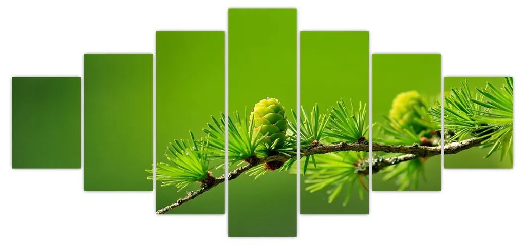 Obraz zelené šišky (210x100 cm)