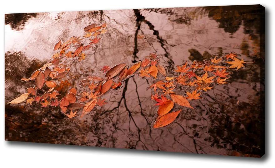 Wallmuralia Moderní fotoobraz canvas na rámu Listí na vodě 100x50