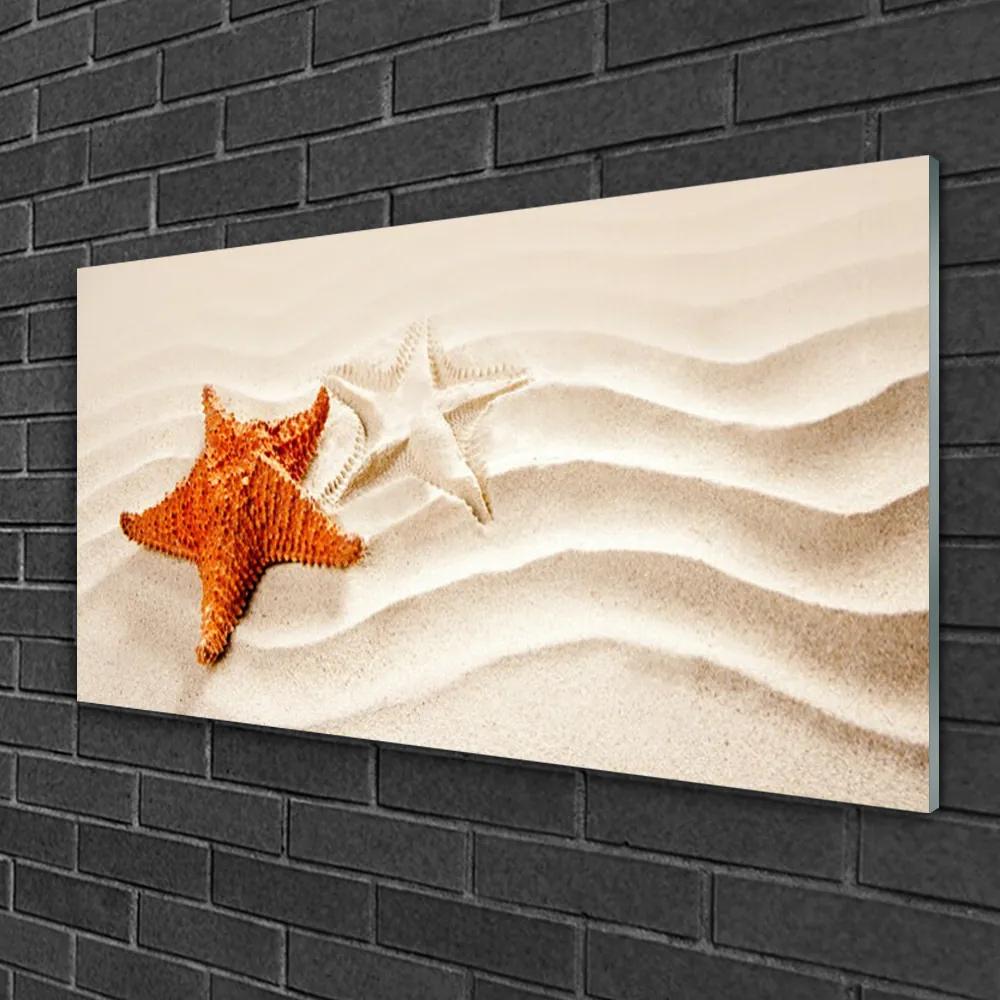 Obraz na skle Hvězdice na Písku Pláž 120x60 cm