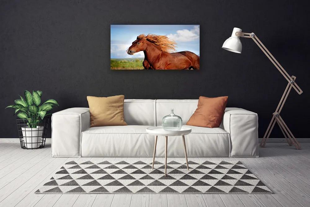Obraz na plátně Kůň Zvířata 125x50 cm