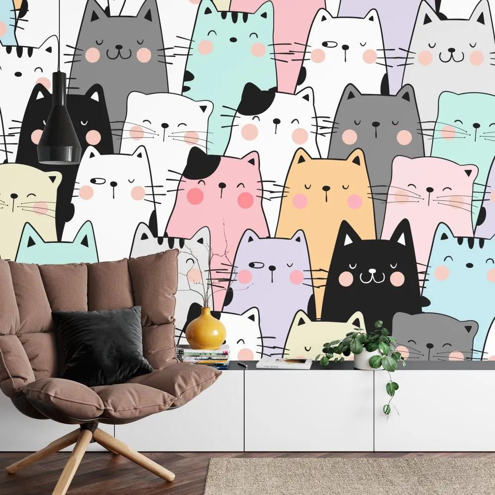 Fototapeta Barevné Kreslené Kočky Samolepící tapety 460x300