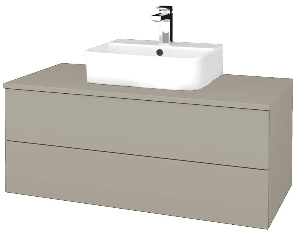 Dřevojas Koupelnová skříňka MODULE SZZ2 100 Varianta: N01 Bílá lesk / D02 Bříza