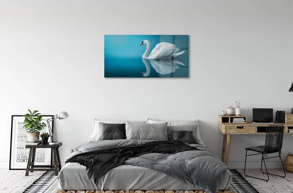 Obraz na skle Swan ve vodě 100x50 cm