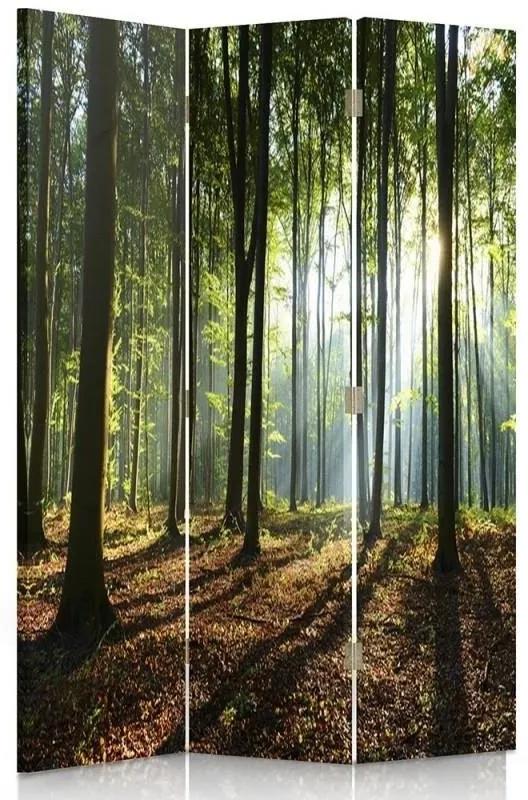 Ozdobný paraván Lesní zelená příroda - 110x170 cm, třídílný, obustranný paraván 360°