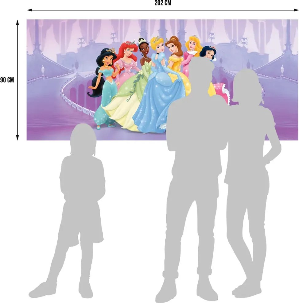 Dětská vliesová fototapeta na zed' Princezny všechny spolu, Disney | 202 x 90 cm | DFTDNH 5318