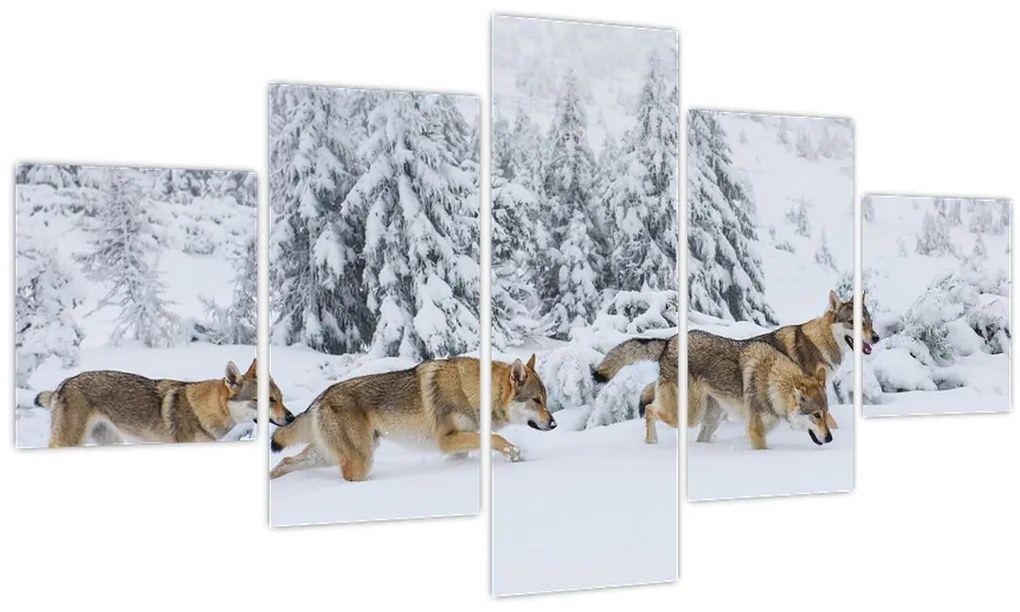 Obraz - Vlci v horách (125x70 cm)