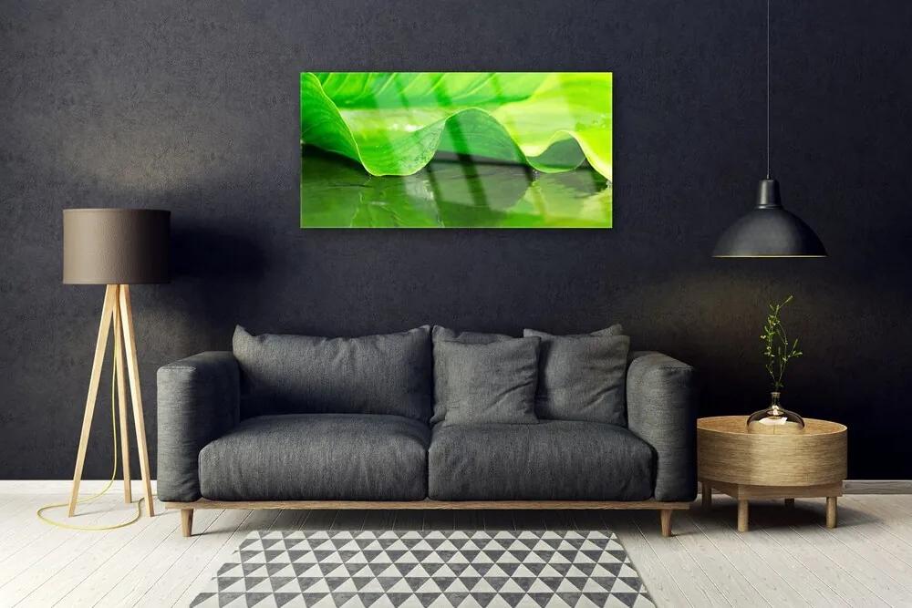 Obraz na skle Liść Roślina Natura 120x60 cm