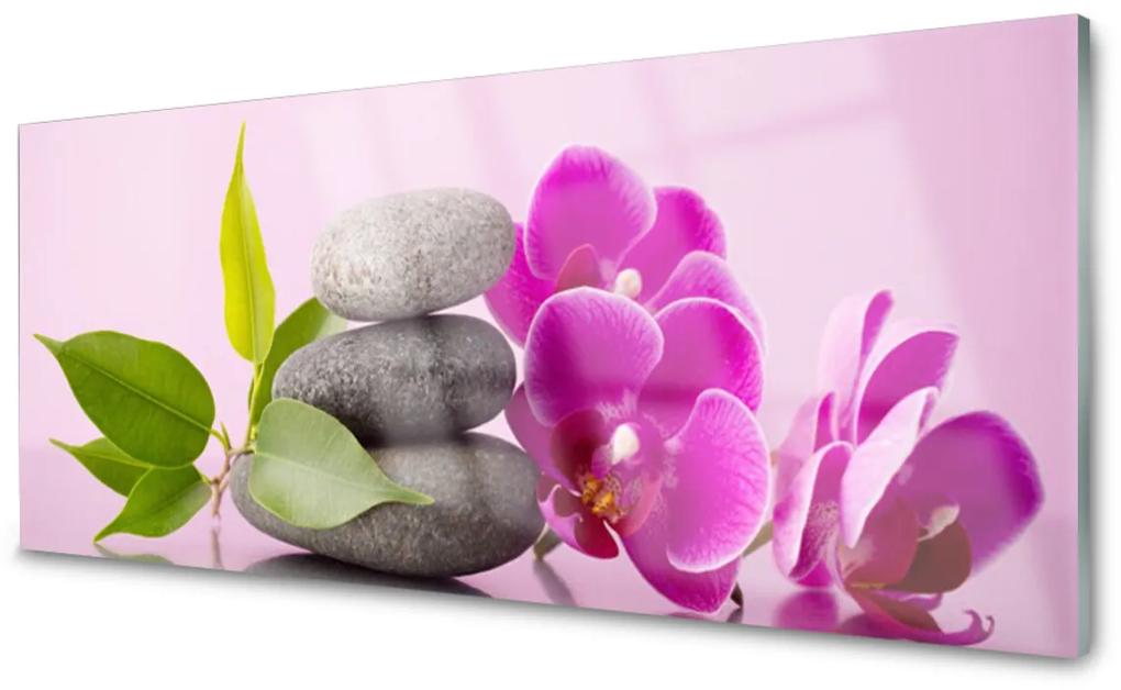 Skleněný obraz Orchidej Vstavač Kameny