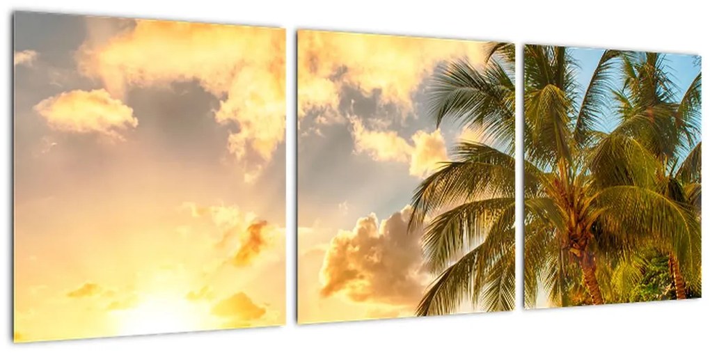 Obraz palmy na písečné pláži