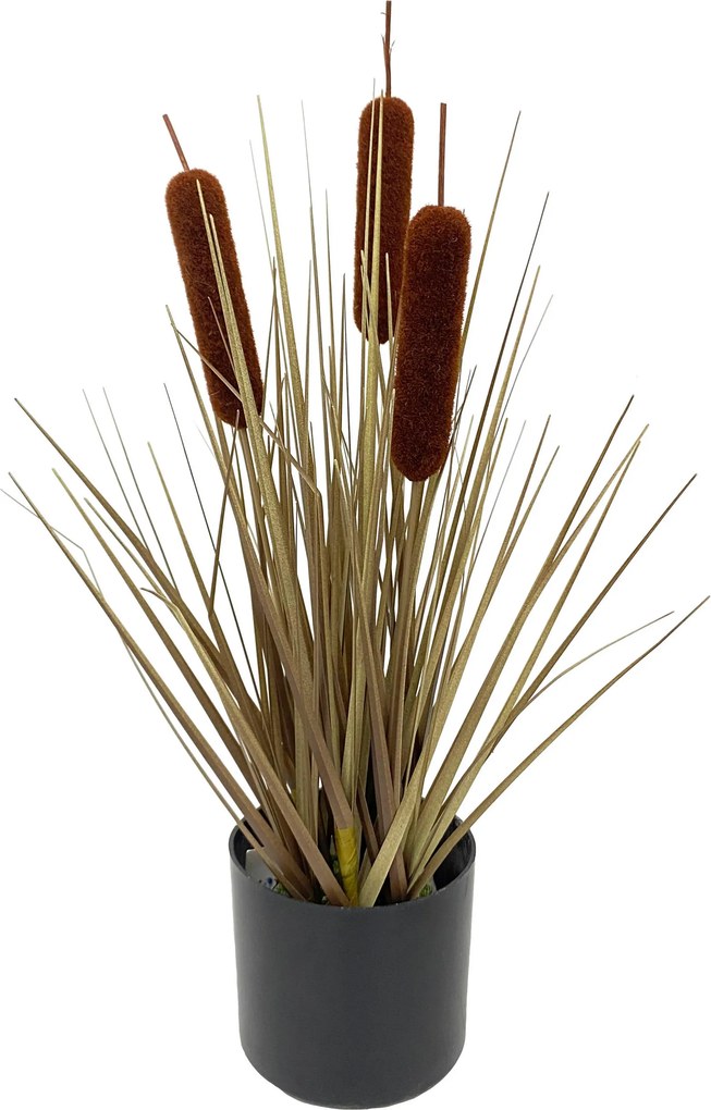 XXXLutz OROBINEC 40 cm Ambia Home - Dekorační tráva - 0039530089