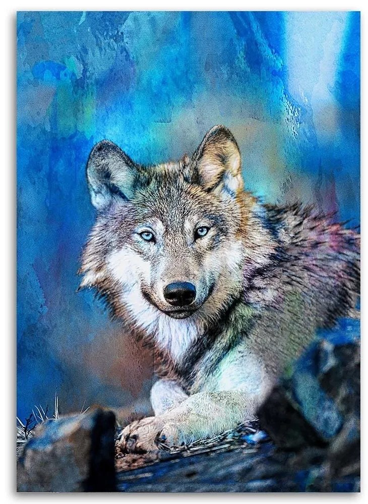 Gario Obraz na plátně Vlk na pozadí oblohy - Andrea Haase Rozměry: 40 x 60 cm