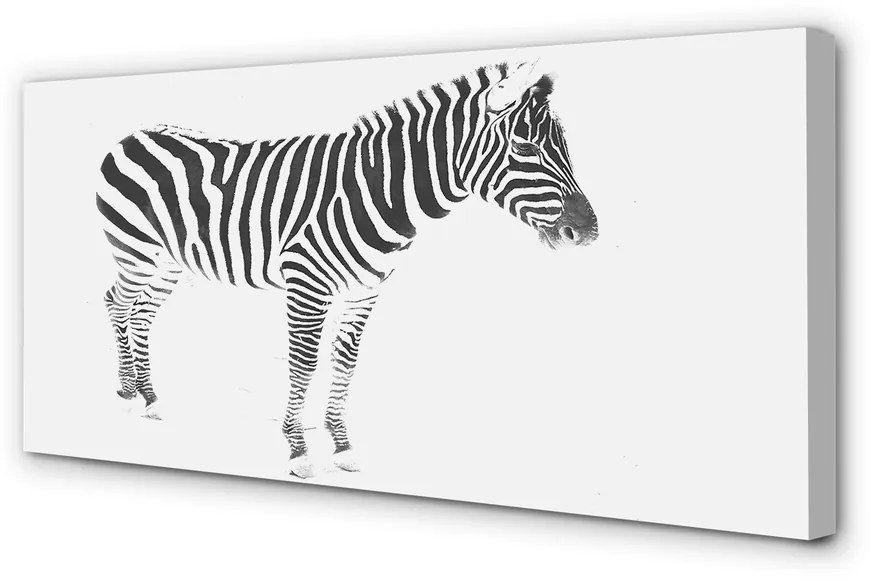 Obrazy na plátně malované zebra 125x50 cm