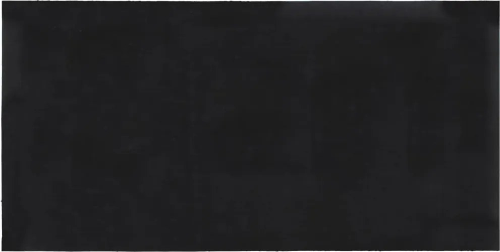 Rohožka před dveře tmavě šedá 100 x 200 cm kokosové vlákno 155594