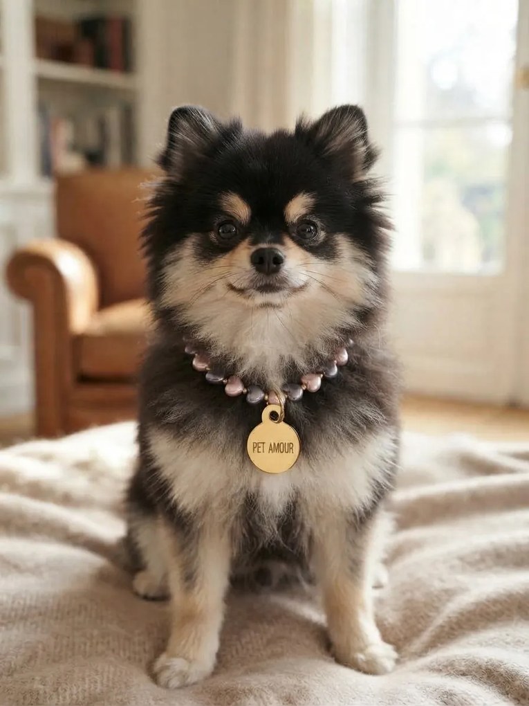 Pet Amour PA náhrdelník pro malé psy z perel srdíčko růžovo-fialový Velikost: S