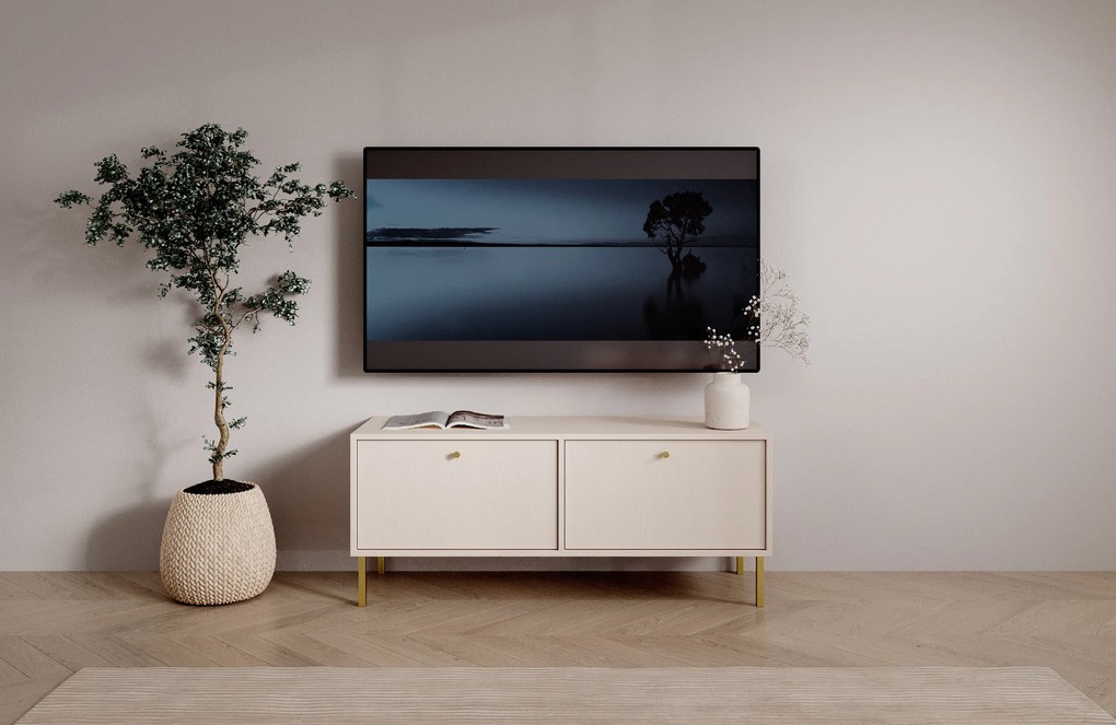 ADRK Furniture TV skříňka 2D Tili RTV-TIL-2D-BS