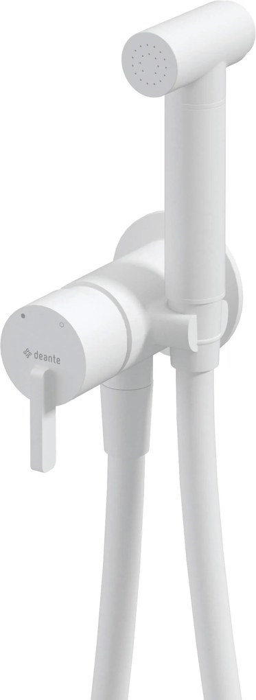 Deante Bidet tap, concealed, with bidetta hand shower