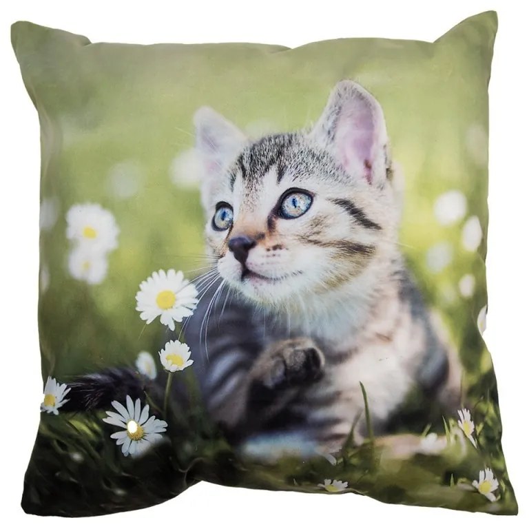 Zelený povlak na polštář s koťátkem na louce - 45*45 cm