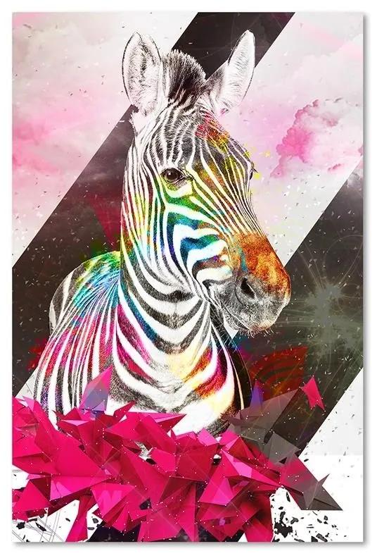 Obraz na plátně Zebra Vícebarevná abstrakce - 40x60 cm