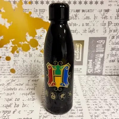 Blue Sky Studios Láhev Harry Potter / Láhev / 650 ml