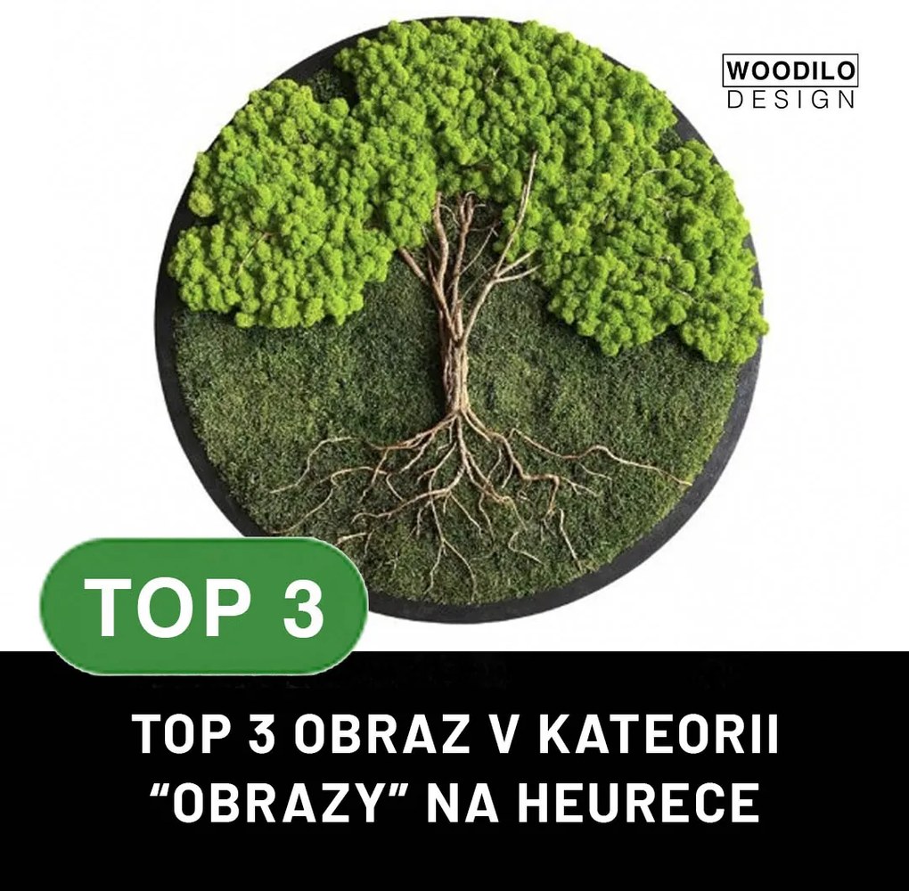 WOODILO Mechový kulatý obraz 320 | kombinace mechů | Strom života s kořeny Barva rámu: Světle šedá, Průměr obrazu: ø 40 cm