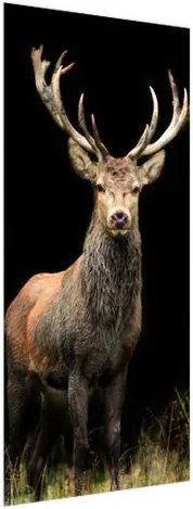 Samolepící fólie na dveře Pohled silného jelena 95x205cm ND1368A_1GV