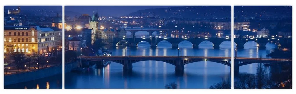 Obraz pražských mostů (170x50 cm)