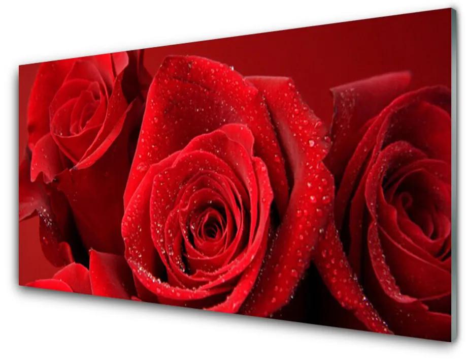 akrylový obraz Růže Květiny 140x70 cm